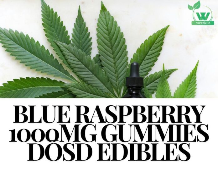 Indulge in Bliss: Blue Raspberry Gummies by DŌSD Edibles